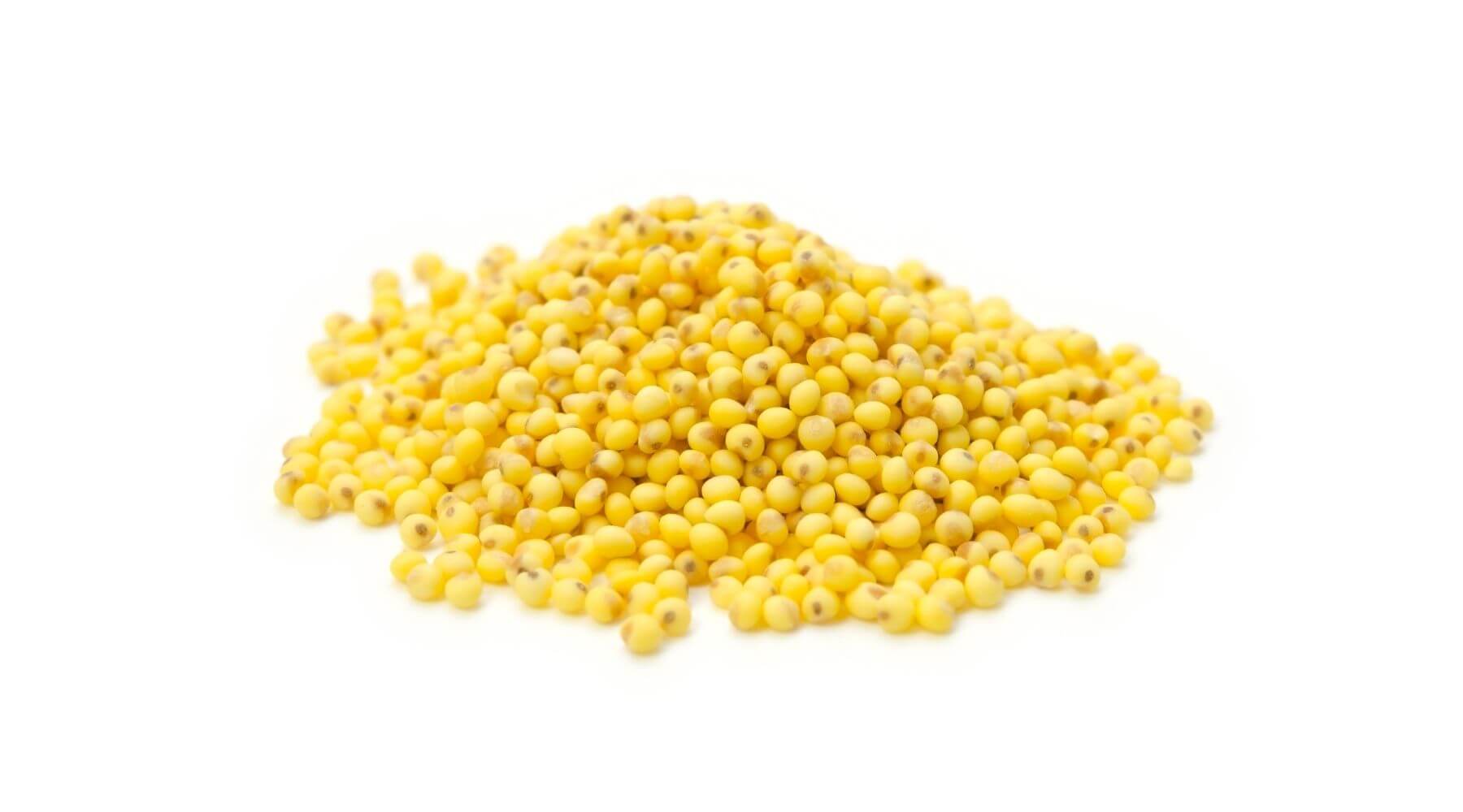 Our Mighty Millet - Safe + Fair